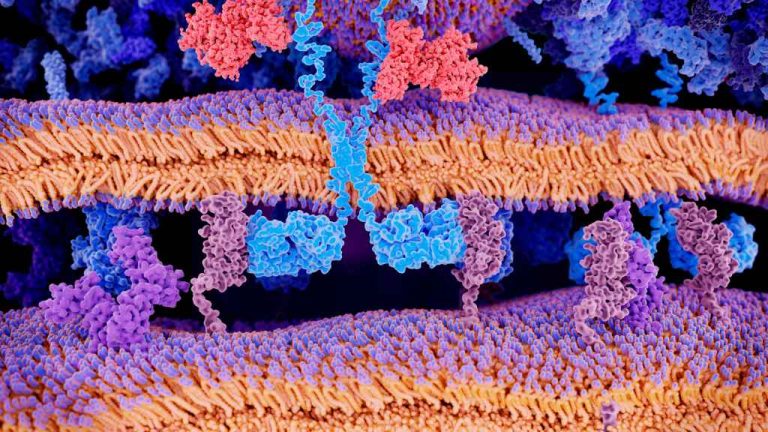Protein Interaction Insights And Functional Services Da Ta Biotech