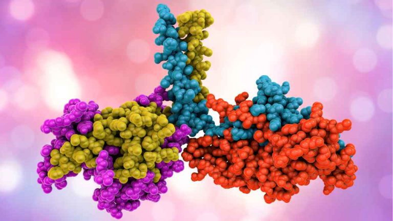 Protein Assay: Advancing Research Solution | Da-ta Biotech